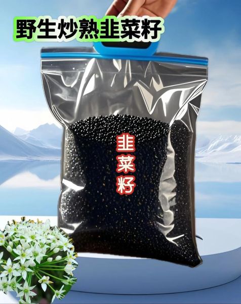 韭菜籽炒熟功效与作用_韭菜籽炒熟怎么吃最好-第1张图片-山城妙识 韭菜籽炒熟功效与作用_韭菜籽炒熟怎么吃最好-第1张图片-山城妙识