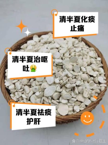 清半夏的功效与作用_清半夏与法半夏区别-第3张图片-山城妙识