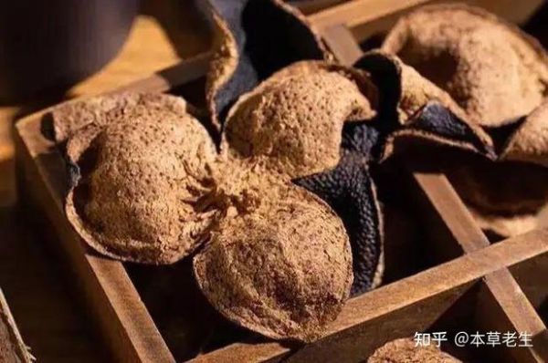 清半夏的功效与作用_清半夏与法半夏区别-第2张图片-山城妙识