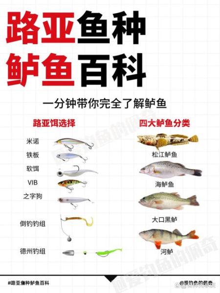 松江鲈鱼是什么鱼_松江鲈鱼图片怎么看真假-第1张图片-山城妙识