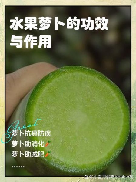 水果萝卜的功效与作用禁忌_什么人不能吃-第1张图片-山城妙识 水果萝卜的功效与作用禁忌_什么人不能吃-第1张图片-山城妙识
