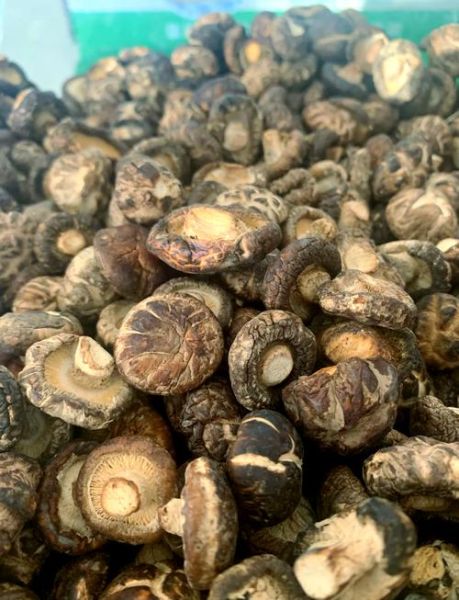 干香菇煮多久能熟_干香菇泡发后多久煮熟-第1张图片-山城妙识 干香菇煮多久能熟_干香菇泡发后多久煮熟-第1张图片-山城妙识