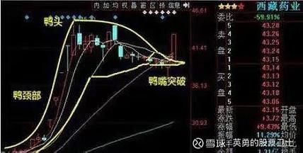 老鸭头形态失败原因_如何避免假突破-第2张图片-山城妙识