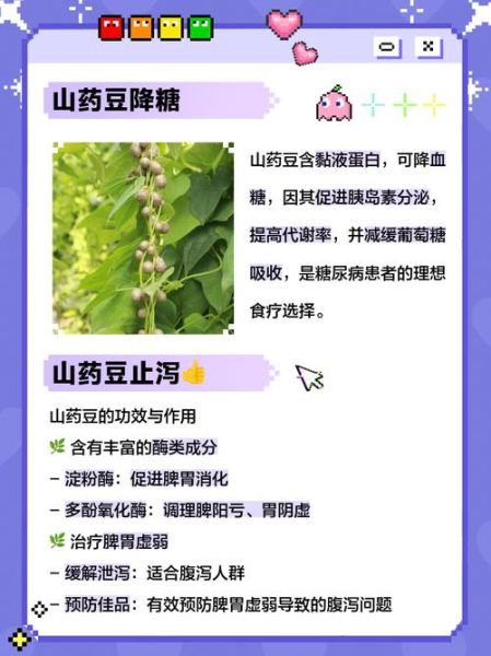 山药豆能减肥吗_山药豆的功效与作用减肥-第1张图片-山城妙识