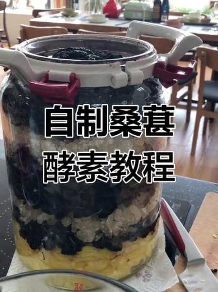 水果酵素的做法窍门_自制水果酵素注意事项-第1张图片-山城妙识