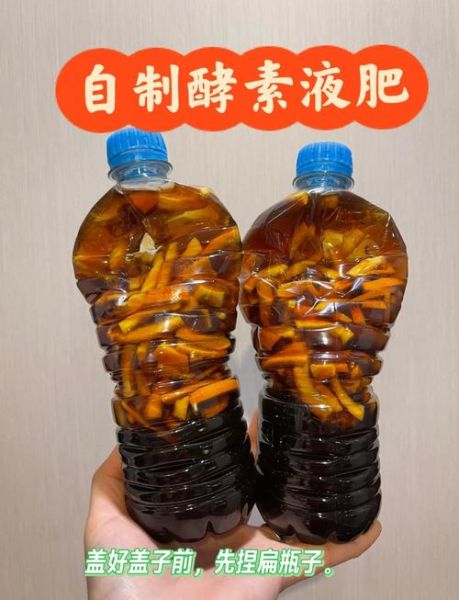 水果酵素的做法窍门_自制水果酵素注意事项-第2张图片-山城妙识