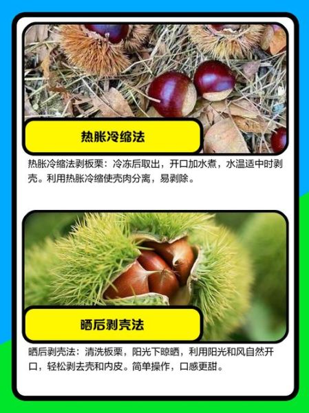 生板栗怎么去壳去皮最快_生板栗快速去壳技巧-第3张图片-山城妙识
