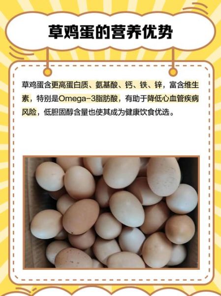 草鸡蛋和普通鸡蛋营养价值一样吗_草鸡蛋真的更健康吗-第2张图片-山城妙识