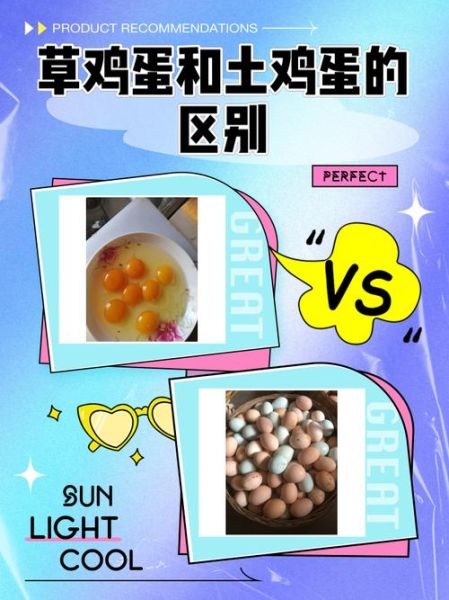 草鸡蛋和普通鸡蛋营养价值一样吗_草鸡蛋真的更健康吗-第1张图片-山城妙识
