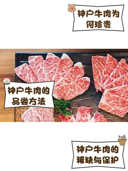 日本神户雪花牛肉多少钱一斤_正宗神户牛价格查询-第3张图片-山城妙识