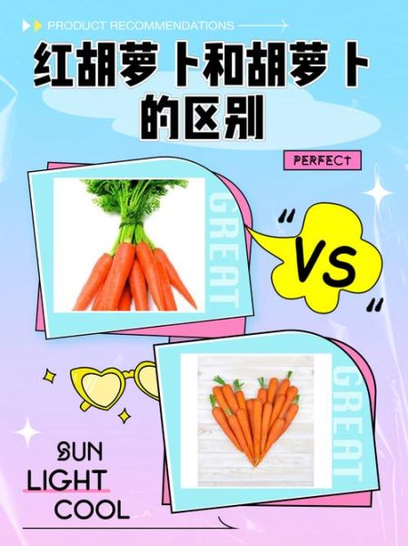 胡萝卜的功效与作用_胡萝卜吃多了有什么害处-第3张图片-山城妙识