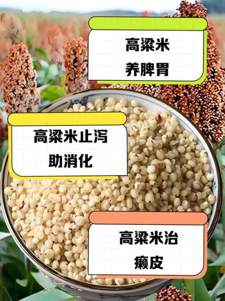 吃高粱米的好处和坏处_高粱米适合什么人吃-第1张图片-山城妙识