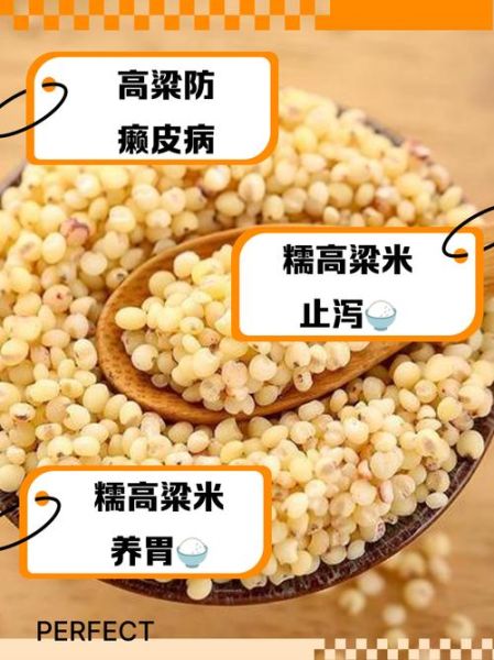 吃高粱米的好处和坏处_高粱米适合什么人吃-第2张图片-山城妙识