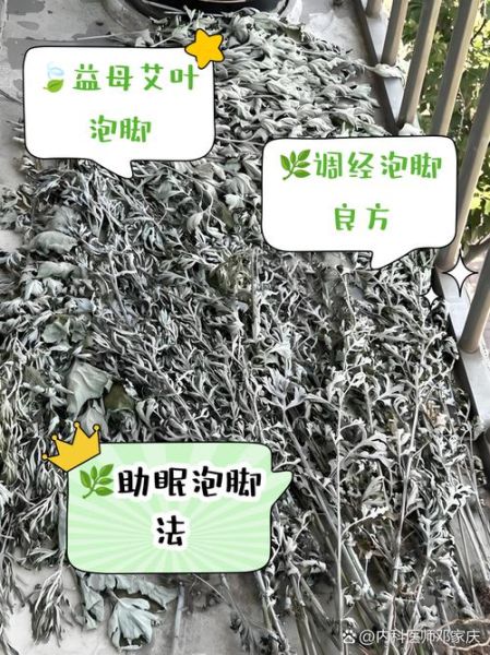 益母草长什么样_益母草与艾草区别-第3张图片-山城妙识