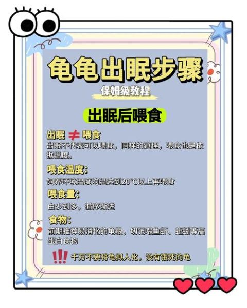 乌龟死后为什么要放三天_乌龟死了放三天有什么讲究-第2张图片-山城妙识