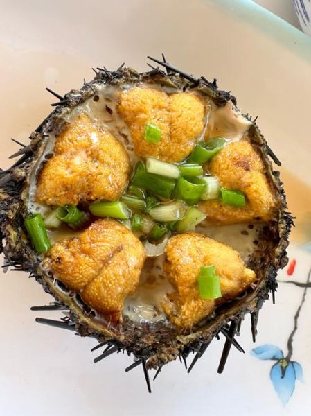 海胆是什么味道_海胆口感像什么-第1张图片-山城妙识