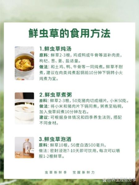 虫草怎么吃最好_虫草怎么吃效果最好-第3张图片-山城妙识
