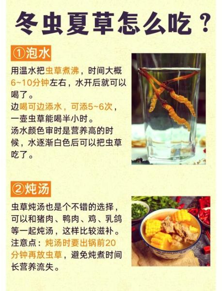虫草怎么吃最好_虫草怎么吃效果最好-第2张图片-山城妙识