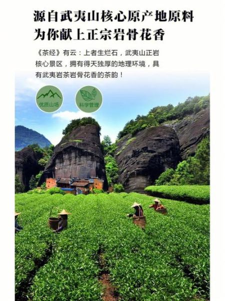 大红袍产地在哪里_武夷山景区核心产区详解-第1张图片-山城妙识 大红袍产地在哪里_武夷山景区核心产区详解-第1张图片-山城妙识