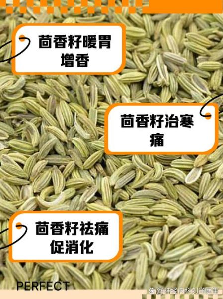 小茴香籽怎么吃_小茴香籽的正确吃法大全-第2张图片-山城妙识 小茴香籽怎么吃_小茴香籽的正确吃法大全-第2张图片-山城妙识