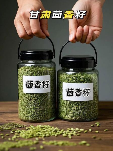 小茴香籽怎么吃_小茴香籽的正确吃法大全-第3张图片-山城妙识 小茴香籽怎么吃_小茴香籽的正确吃法大全-第3张图片-山城妙识