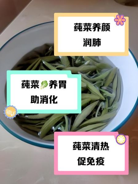 莼菜怎么做才好吃_家常做法步骤图解-第1张图片-山城妙识 莼菜怎么做才好吃_家常做法步骤图解-第1张图片-山城妙识