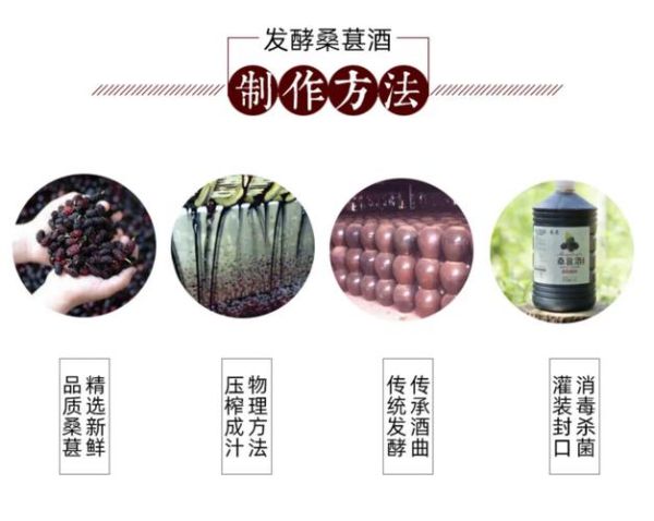 桑子泡酒怎么泡_桑子泡酒比例是多少-第2张图片-山城妙识 桑子泡酒怎么泡_桑子泡酒比例是多少-第2张图片-山城妙识