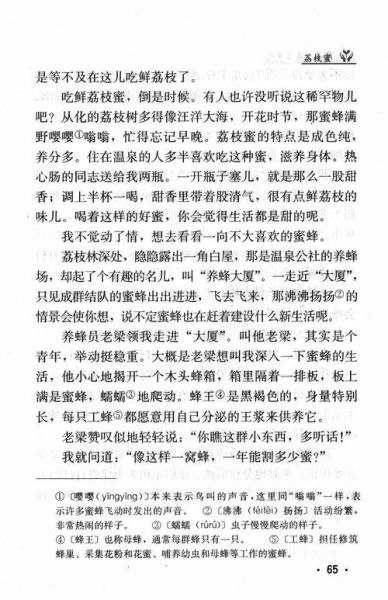 荔枝蜜杨朔原文赏析_杨朔散文荔枝蜜写作手法-第2张图片-山城妙识