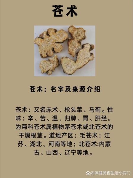 苍术的功效与作用及副作用_苍术泡水喝的禁忌-第2张图片-山城妙识