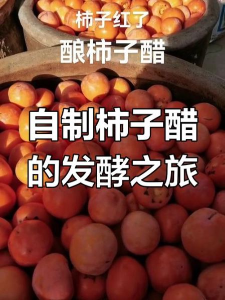 柿子醋怎么做_家庭柿子醋制作步骤-第1张图片-山城妙识