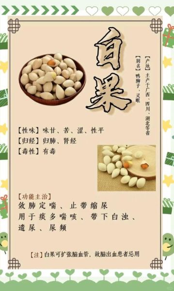 白果的功效与作用_白果怎么吃才健康-第3张图片-山城妙识