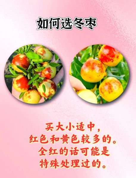 冬枣什么时候成熟_冬枣怎么挑选才甜-第1张图片-山城妙识