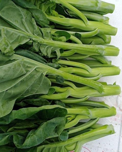 广东芥菜品种图片大全_哪种芥菜最适合家庭种植-第2张图片-山城妙识