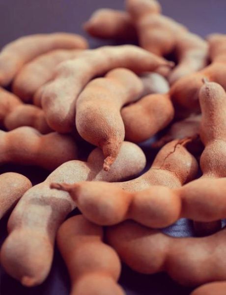 甜酸角哪些人不能吃_孕妇能吃甜酸角吗-第2张图片-山城妙识