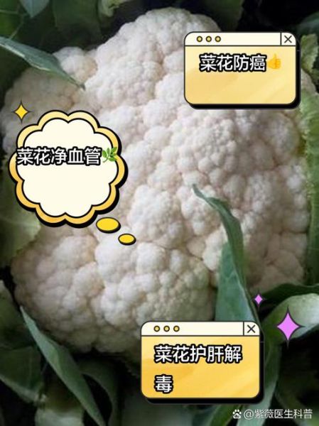 菜花有什么功效与作用_菜花禁忌人群有哪些-第2张图片-山城妙识 菜花有什么功效与作用_菜花禁忌人群有哪些-第2张图片-山城妙识