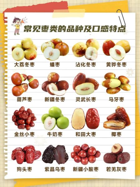 红枣每天吃多少合适_一天吃几颗红枣最好-第3张图片-山城妙识 红枣每天吃多少合适_一天吃几颗红枣最好-第3张图片-山城妙识