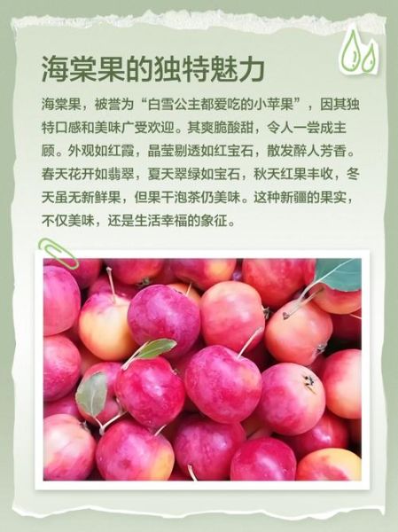 海棠果图片_如何分辨真假-第3张图片-山城妙识 海棠果图片_如何分辨真假-第3张图片-山城妙识