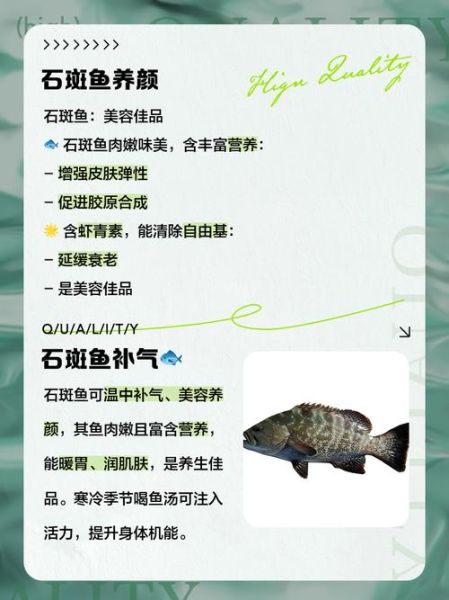 石斑鱼的营养价值_石斑鱼的功效与作用-第1张图片-山城妙识