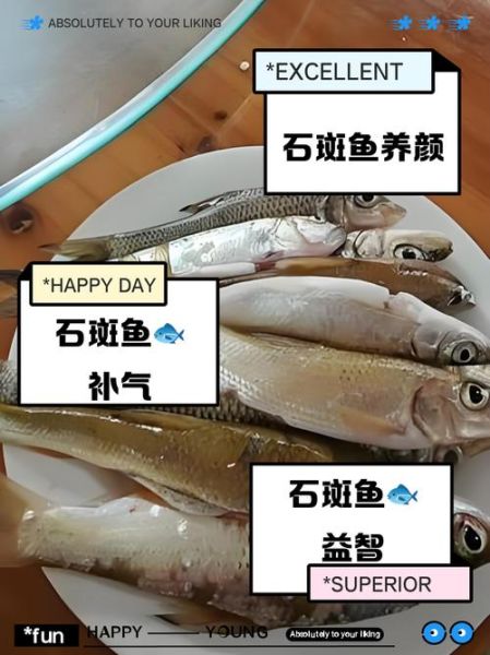 石斑鱼的营养价值_石斑鱼的功效与作用-第2张图片-山城妙识