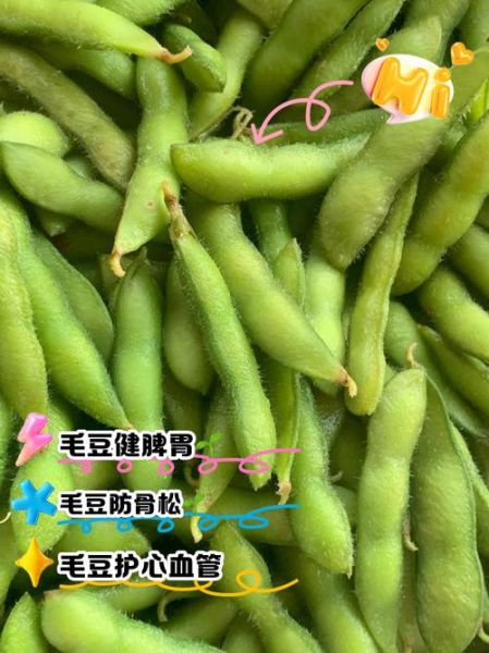 毛豆的功效与作用_毛豆的营养价值有哪些-第3张图片-山城妙识