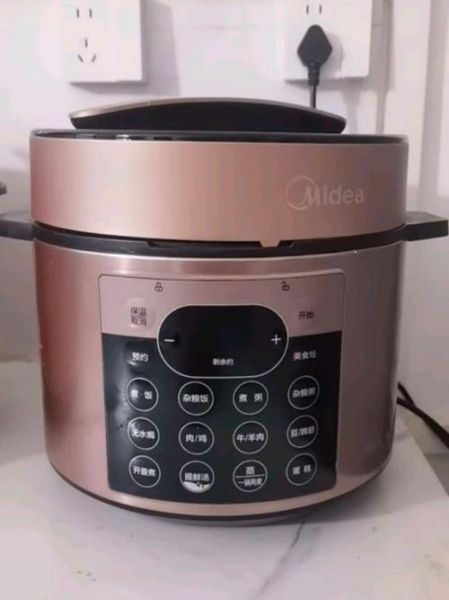 美的电压力锅做菜食谱大全_美的电压力锅怎么用-第1张图片-山城妙识