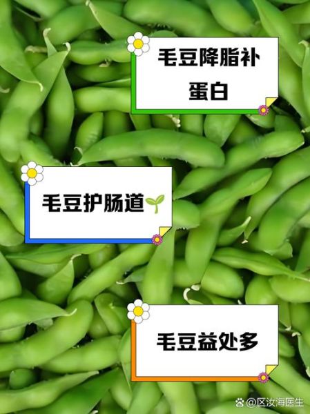 毛豆的功效与作用_毛豆的营养价值有哪些-第2张图片-山城妙识