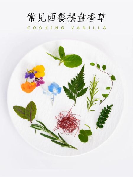 西餐盘饰有哪些_如何摆盘好看-第2张图片-山城妙识