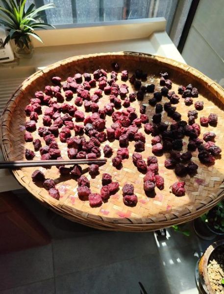 家庭自制杨梅干怎么做_自制杨梅干能放多久-第1张图片-山城妙识 家庭自制杨梅干怎么做_自制杨梅干能放多久-第1张图片-山城妙识