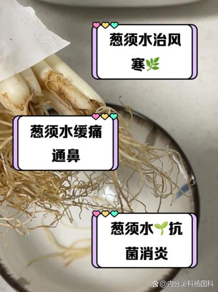葱须煮水治咳嗽吗_葱须煮水止咳有效吗-第1张图片-山城妙识