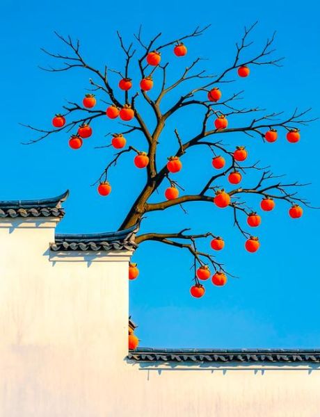 柿子图片大全哪里找_如何欣赏柿子美图-第2张图片-山城妙识