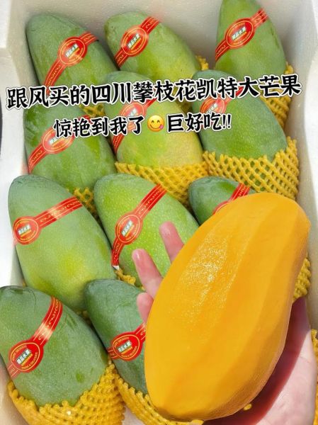 凯特芒果多少钱一斤_凯特芒果价格为什么差距大-第2张图片-山城妙识 凯特芒果多少钱一斤_凯特芒果价格为什么差距大-第2张图片-山城妙识