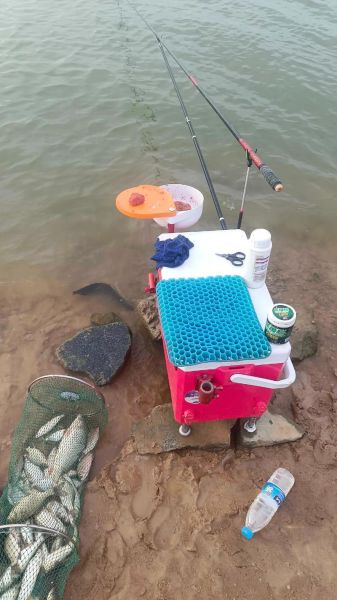 野钓新手如何选钓点_野钓新手用什么鱼饵-第2张图片-山城妙识