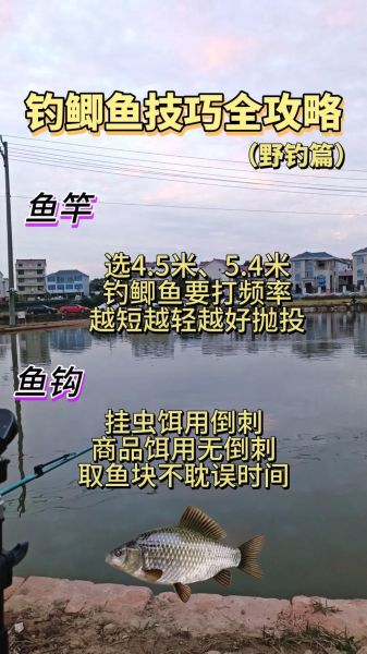 野钓新手如何选钓点_野钓新手用什么鱼饵-第1张图片-山城妙识