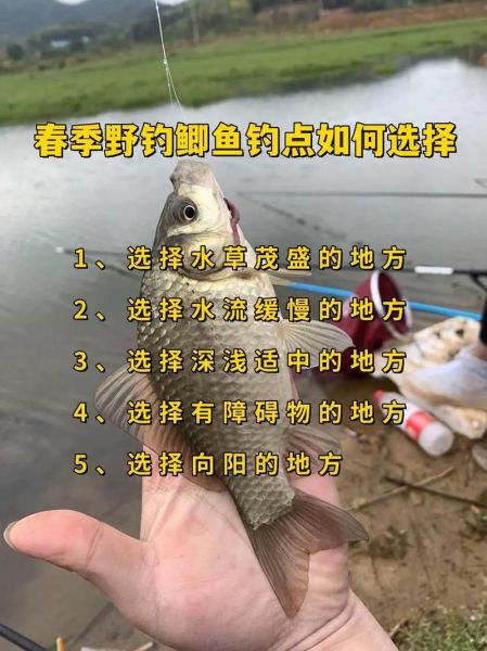 野钓新手如何选钓点_野钓新手用什么鱼饵-第3张图片-山城妙识